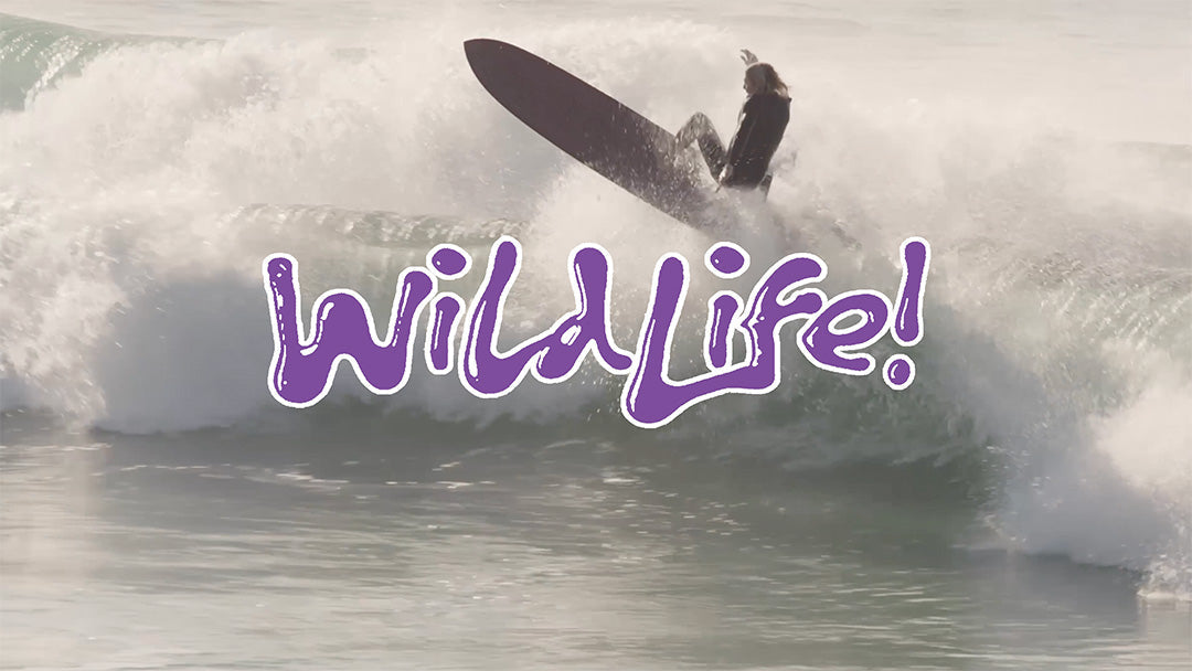 Wild Life — Feature Film