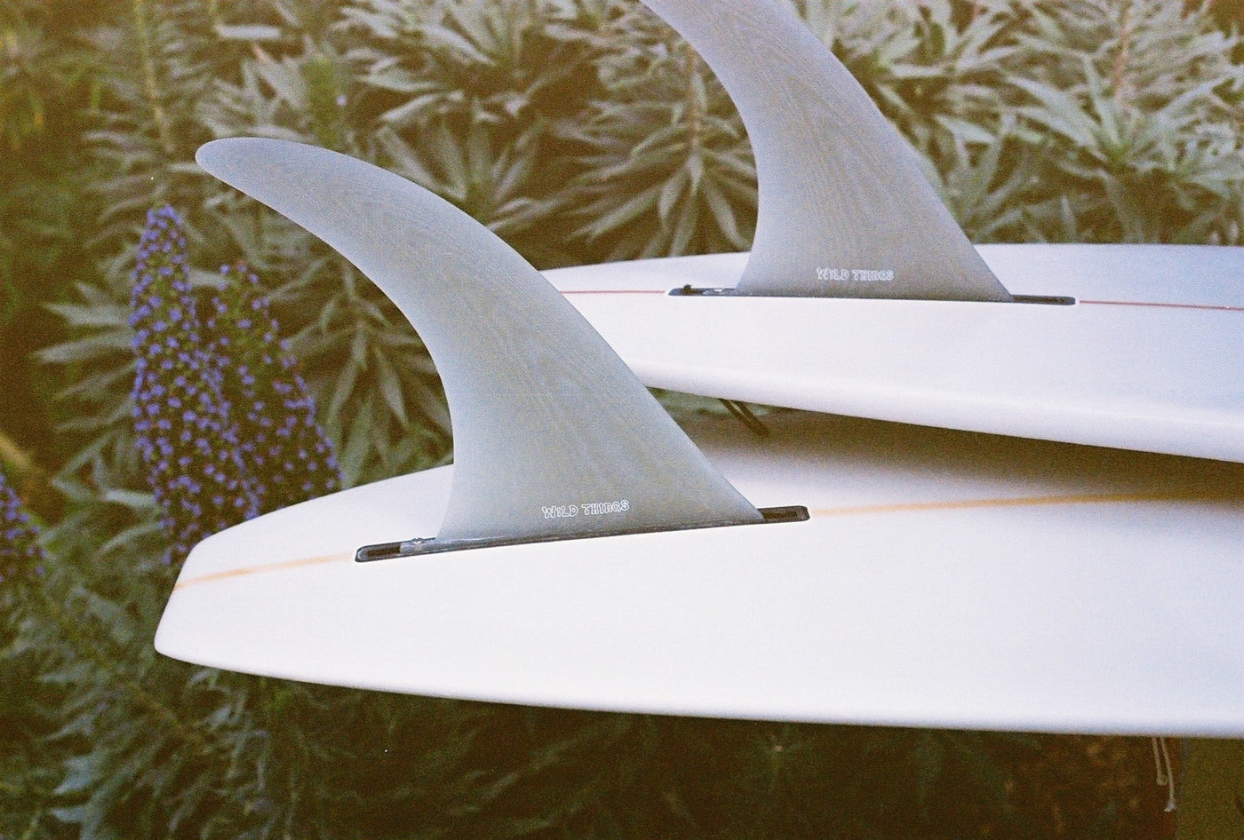 WILD THINGS – Wild Things